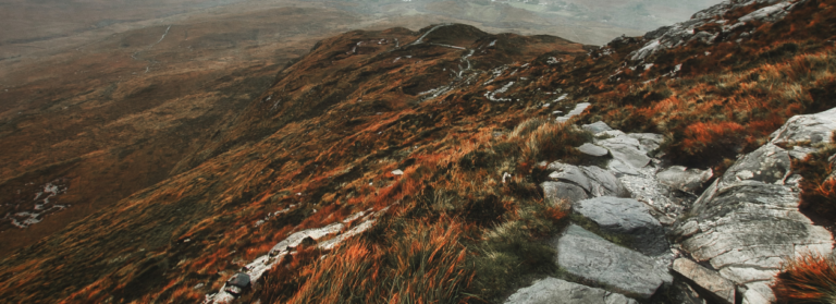 Nature & Conservation - Connemara National Park - National Parks of Ireland