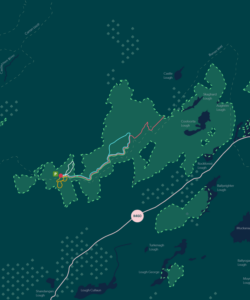Things To Do - Burren National Park - National Parks of Ireland