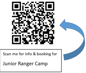 Summer Camps and Junior Ranger Camps in Killarney National Park ...