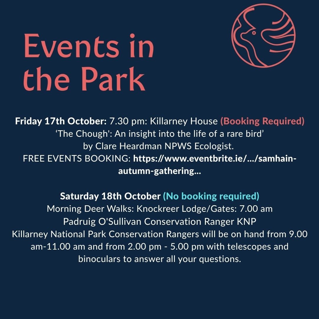 ‘Samhain’ Autumn Gathering - National Parks of Ireland