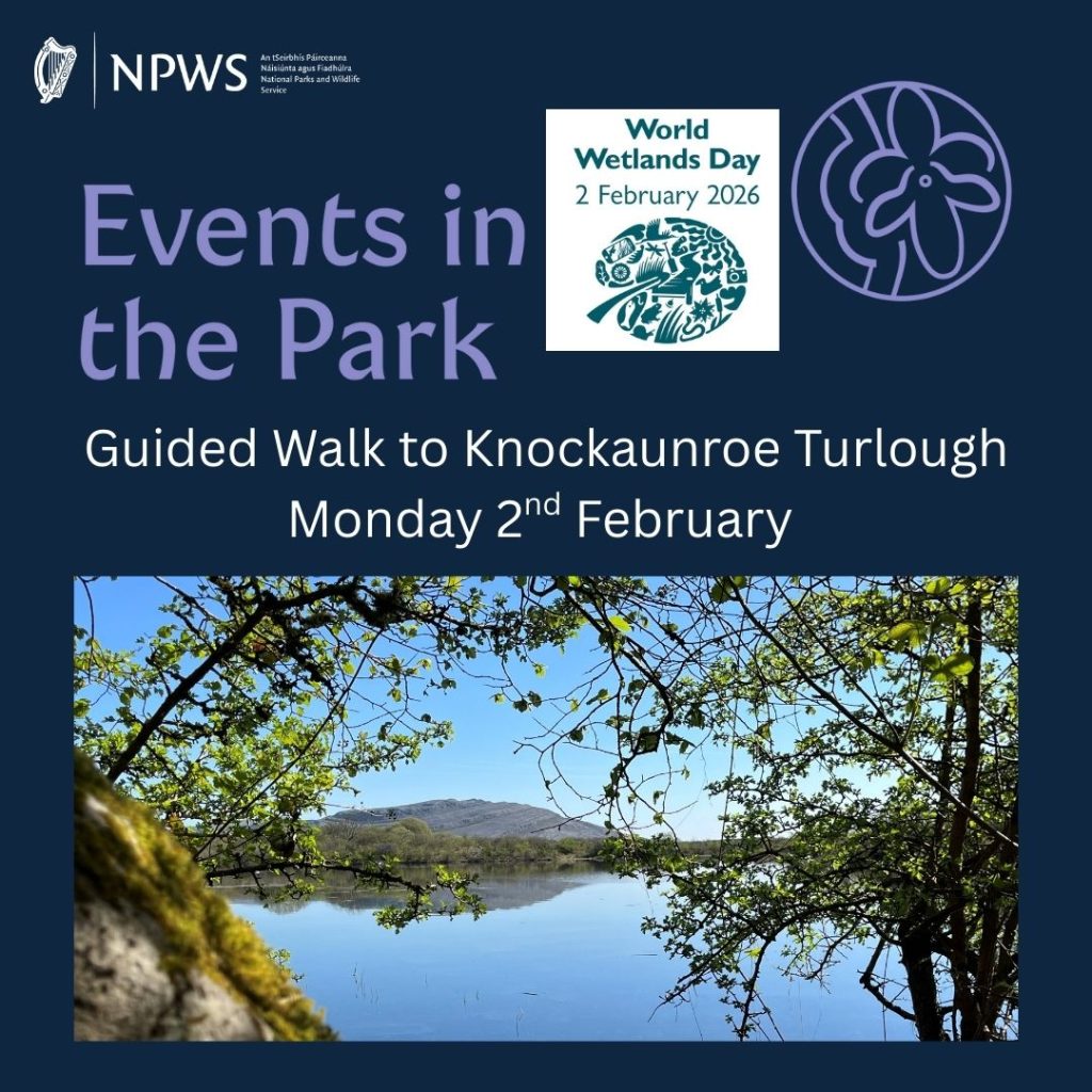 World Wetlands Day - National Parks of Ireland