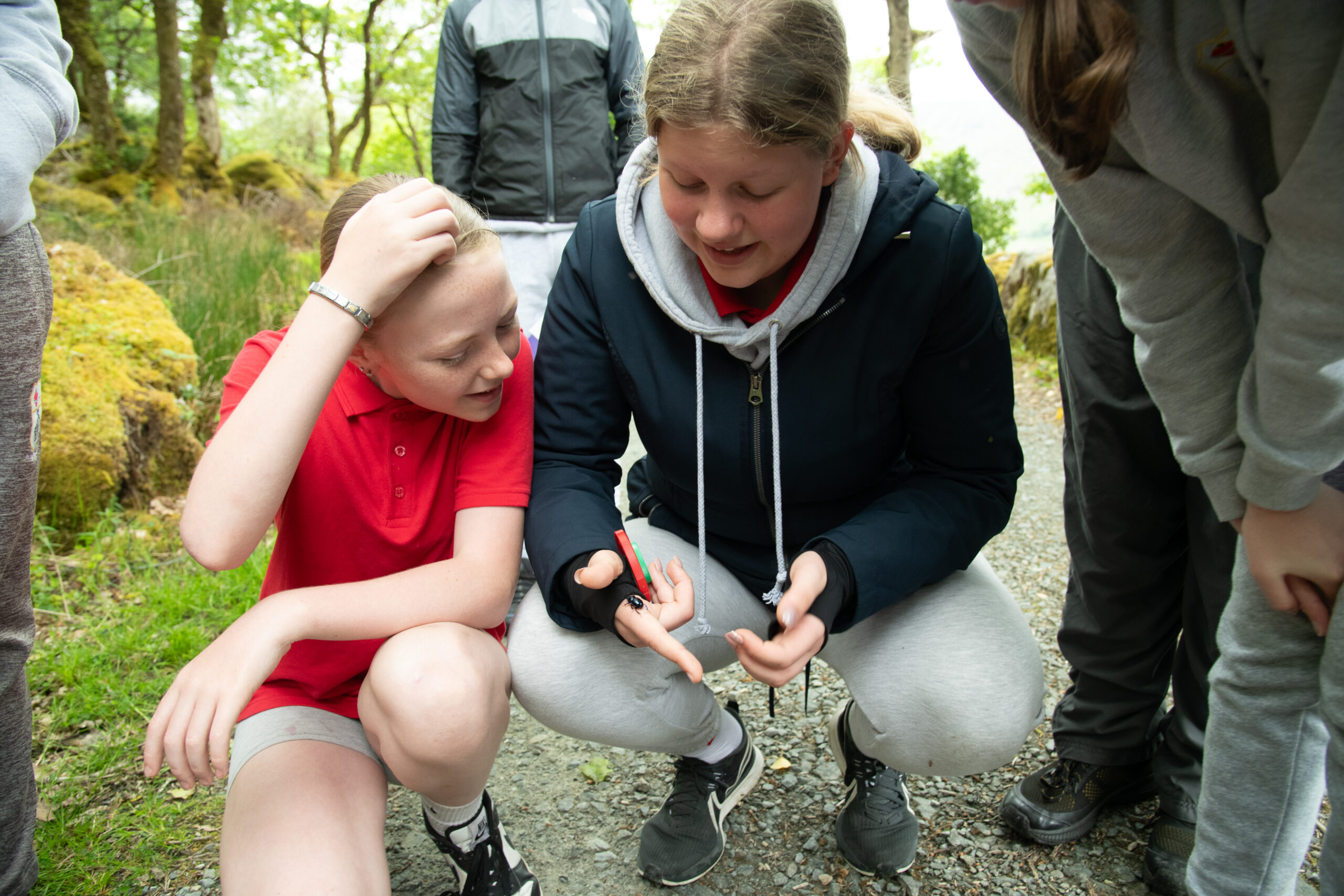 The Big Bug Hunt - National Parks of Ireland